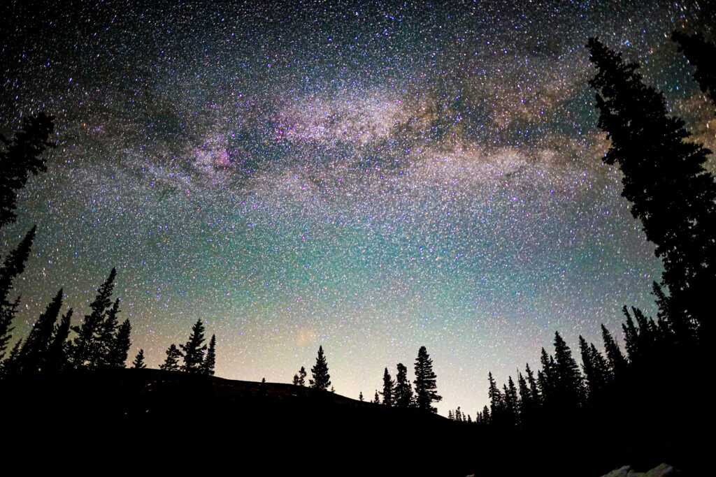 Starry Night from the trees, Colorado | Colorado Astrophotography