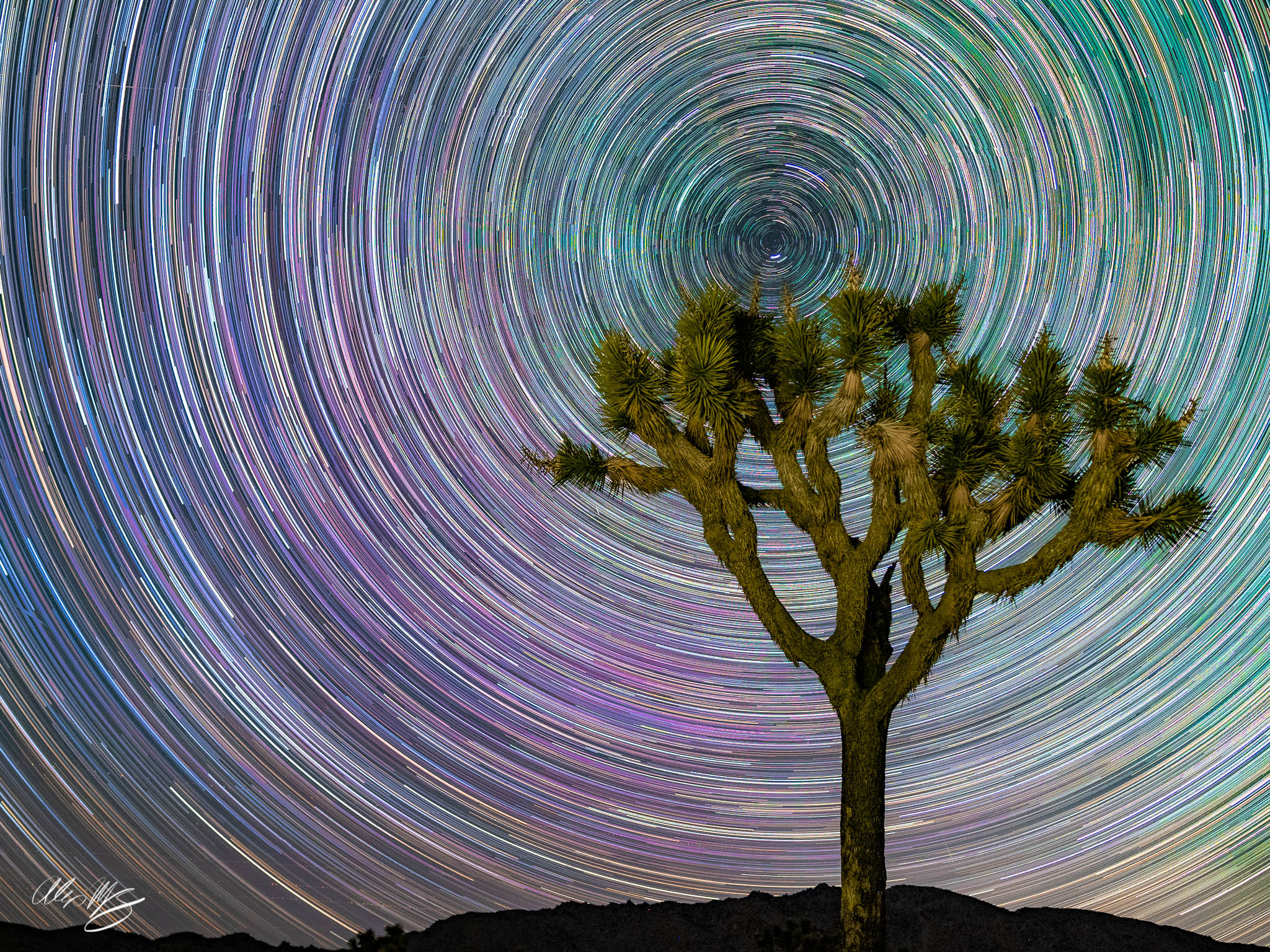 The Night Sky at Joshua Tree National Park | Colorado Astrophotography